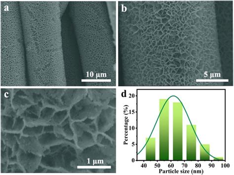 A C Different Magnification SEM Images D Particle Size Download Scientific Diagram