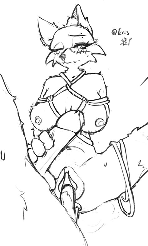 Rule 34 Canid Canine Dianefoxington Eriscaleb Female Fox Genitals Hi