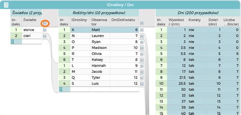 Codap Instrukcje Dla Użytkownika