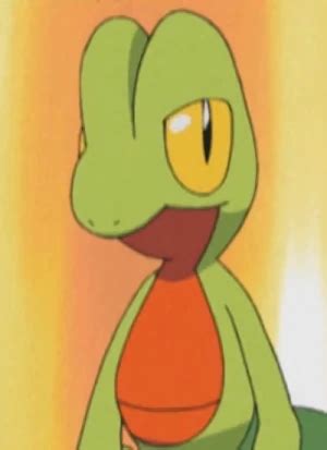 Treecko Character AniSearch Com