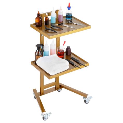 Vevor 2 Tiers Stainless Steel Lab Carts With 2 Trays And 4 Silent Wheels