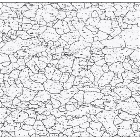 Ferritic Vs Austenitic Stainless Steel Key Differences Jlin Group