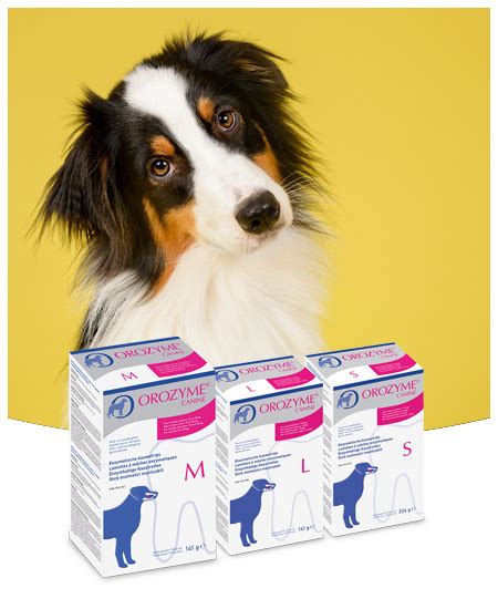Prodotti - Mangimi complementari - Orozyme® | Ecuphar - An Animalcare ...