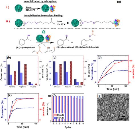 (a) i) Enzyme immobilization showing time and temperature of reaction;... | Download Scientific ...