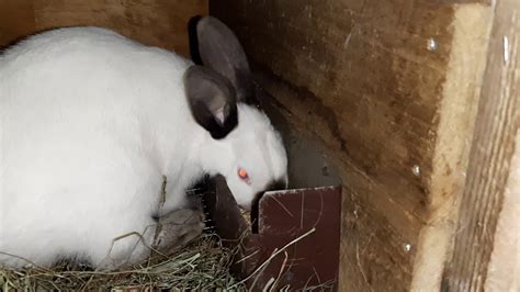 დავბრუნდი პატარა პაუზის შემდეგ Youtube