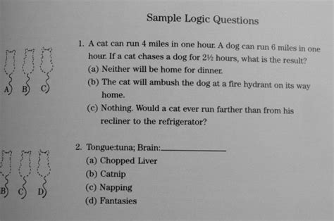 Cat High A Bizarre Yearbook For Cats 24 Pics