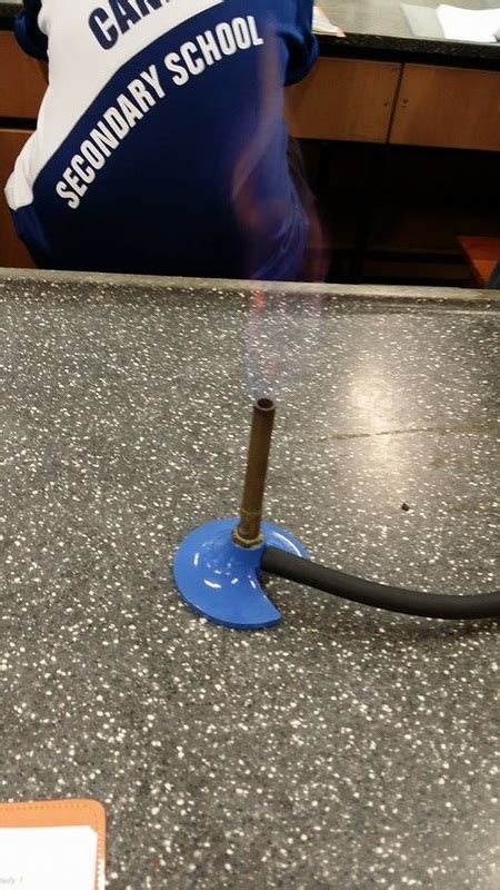 1st Science Reflection Just An Ordinary Girl With Blog