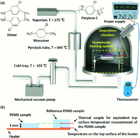 Schematic Illustration Of T Cvd Of The Parylene C Deposition Process