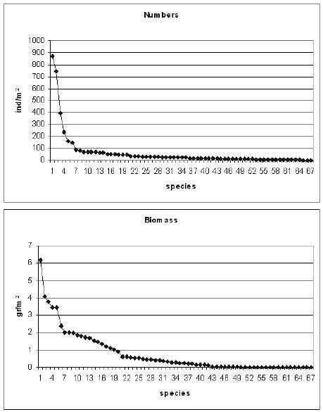 Benthic Macroinvertebrate Community Dominance Di Versity Curves In Download Scientific