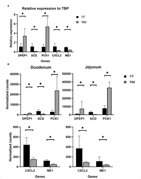 Alidation Of Rnaseq Data A Qpcr Results Of Relative Expression Download Scientific Diagram