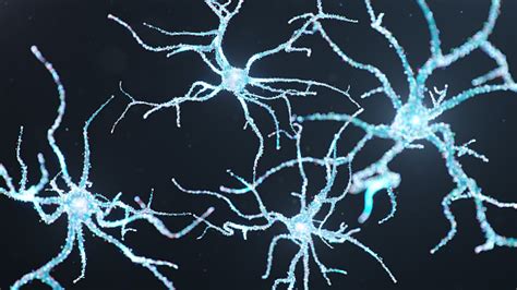 발광 점이 있는 추상신경세포 시냅스와 뉴런 세포는 전기 화학 신호를 보냅니다 전기 자극과 상호 연결된 뉴런의 뉴런 전송 정보 3d 일러스트 0명에 대한 스톡 사진 및 기타