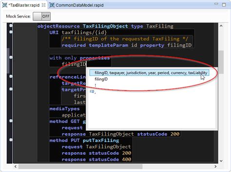 Reprezen Api Studio Quick Start Guide Customizing Data Type Realization