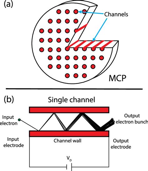 A Schematic Diagram Of An MCP A Shows The Whole MCP Consisting Of Download Scientific