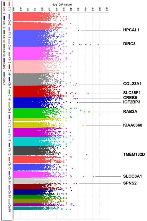 Genome Wide Association Analysis Results Of Treatment Response To Download Scientific Diagram