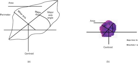 A Geometrical Feature Representation B Geometric Feature Based On