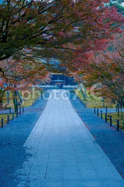 Free Photos Kyoto City Kyoto Prefecture Nanzenji Temple Autumn Leaves Approach Early