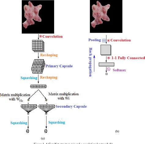Figure 1 From Analysis Of Capsule Networks For Image Classification Semantic Scholar