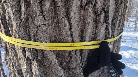 New Updates For Tools That Query Forest Inventory And Analysis Data