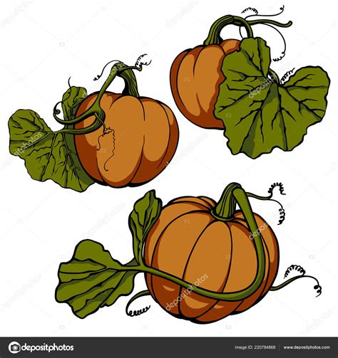 How To Draw A Pumpkin Leaf