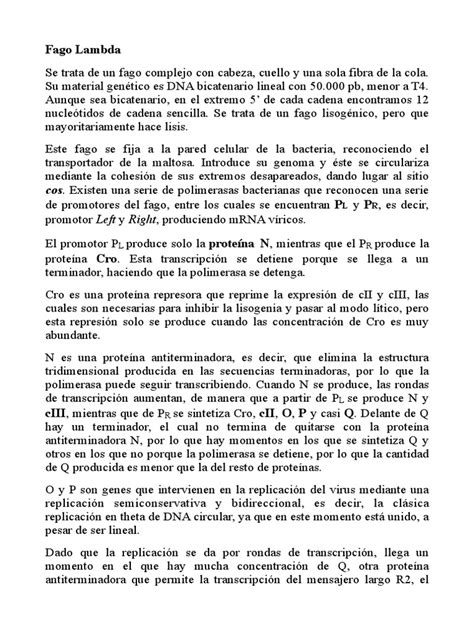 Fago Lambda Pdf Replicación De Adn Adn