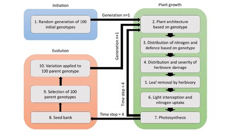 2 flow chart of the model showing the steps involved in the initiation