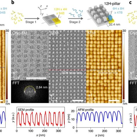 Pattern Diversity Ac Schemes Of The Dna Modular Epitaxy Assembly And