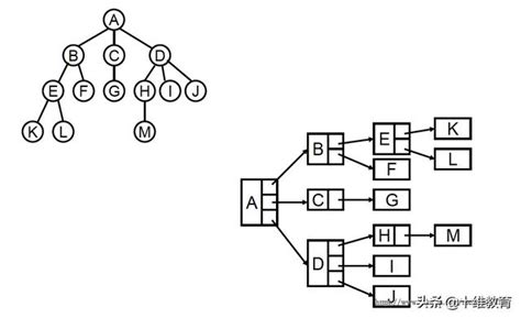 二分查找判定树怎么画 今日干货：树 weixin 39568889的博客 csdn博客