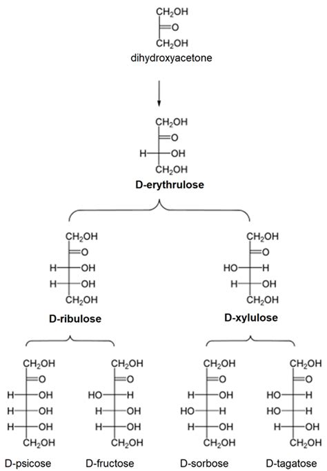 5 2 General Class Names And Common Names Of Monosaccharides Chemistry Libretexts