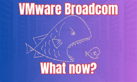 Broadcom VMware Buyout 5 Things To Do Now Virtualization Howto