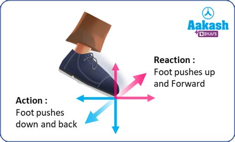 Newtons Third Law Of Motion Definition Applications And Examples Physics Aakash Aesl