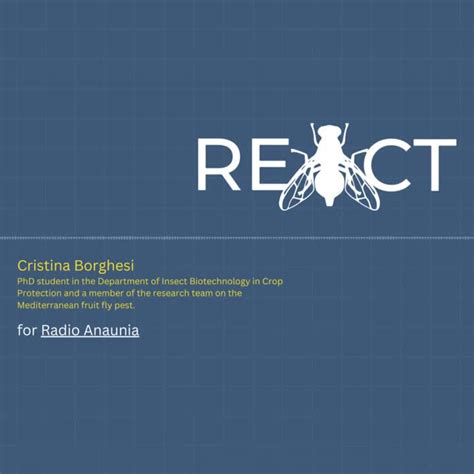[video] React Insect On Linkedin React Sterileinsecttechnique
