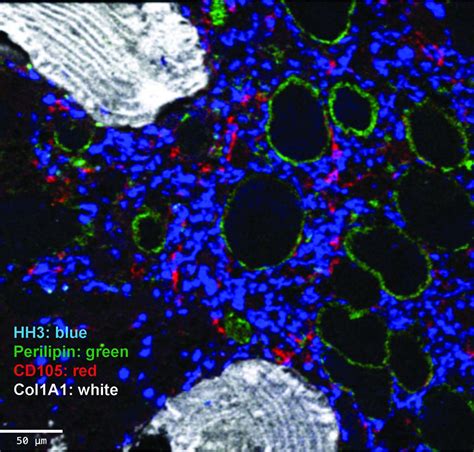 National Institutes Of Health Nihgov • Instagram Photos And Videos