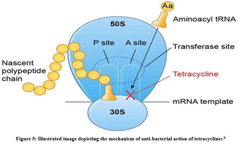 Tetracyclines The Old The New And The Improved A Short Review
