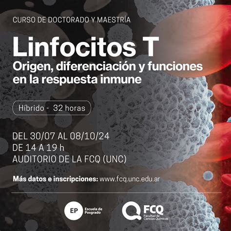 Linfocitos T Sociedad Argentina De Inmunología