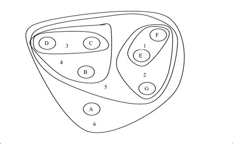 graphical portrayal of the hieratical clustering process a nested