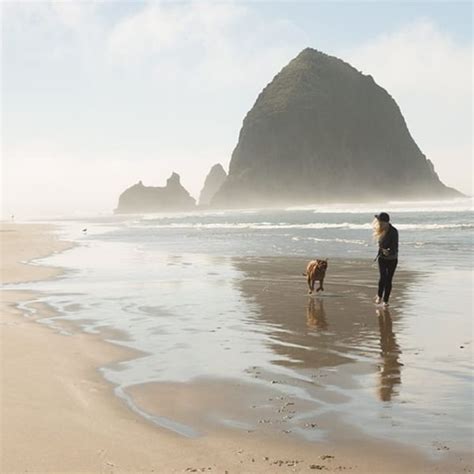 Top 25 Most Searched Porn Stars In 2019 So Far Breakbrunch