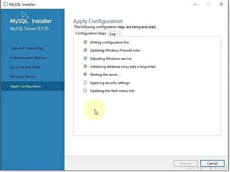 Win11系统安装mysql时，不显示developer Default选项，如何自定义安装mysql安装没有developer