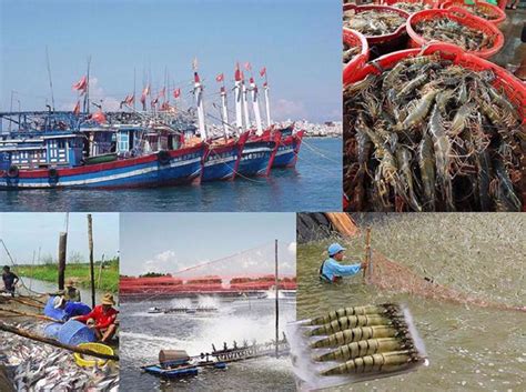 creating space for seafood industry to develop