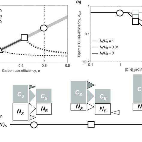 Definition Of Optimal C Use Efficiency For A Microbial Community Along