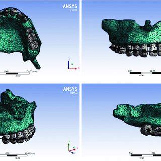 The Diagram Shows The Model Using ANSYS Software Download Scientific Diagram