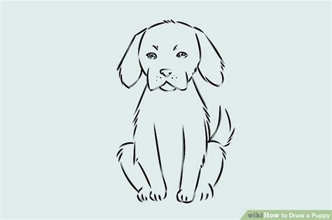 4 Ways To Draw A Puppy WikiHow
