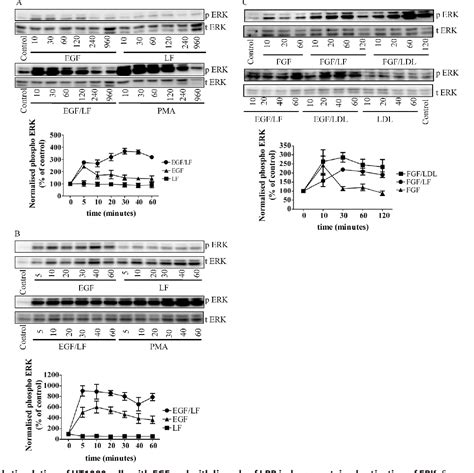 Figure 1 From Signal Integration And Coincidence Detection In The