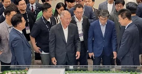 이차전지 금양 전시장 찾은 정의선 회장