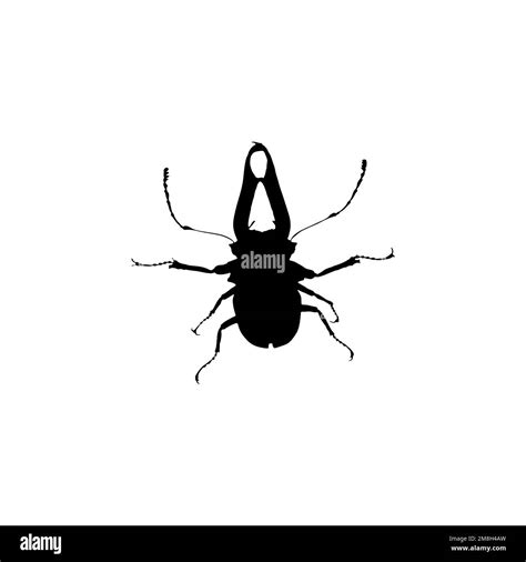 Bug Icon Simple Style Bug Science Poster Background Symbol Bug Brand Logo Design Element Bug