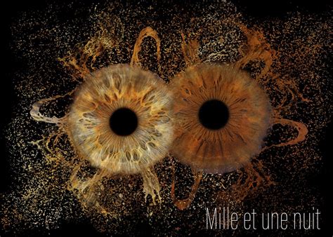 Artiris Photographie Diris À Montréal Qué Saber Antes De Ir 2024