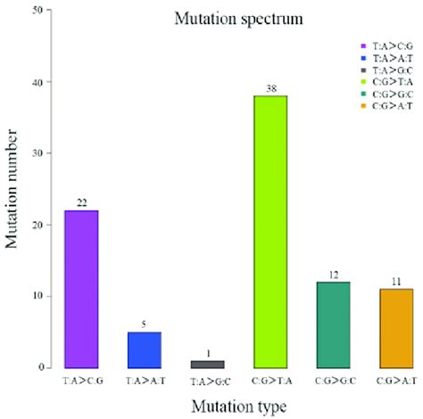 Somatic Mutation Spectrum Of The Cds Region Download Scientific Diagram
