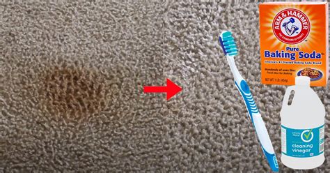 How To Remove Carpet Stains DIY Joy