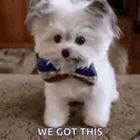 We Got This S