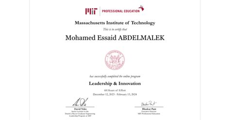 mohamed essaid abdelmalek on linkedin leadership and innovation mohamed essaid abdelmalek mit