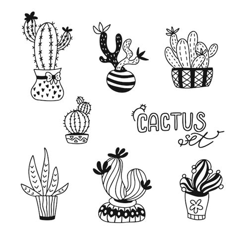 Premium Vector Vector Set Of Different Cactuses In A Pots Hand Drawn